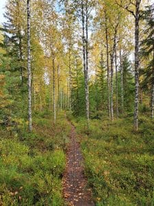 Kunta ja hallinto - Padasjoki