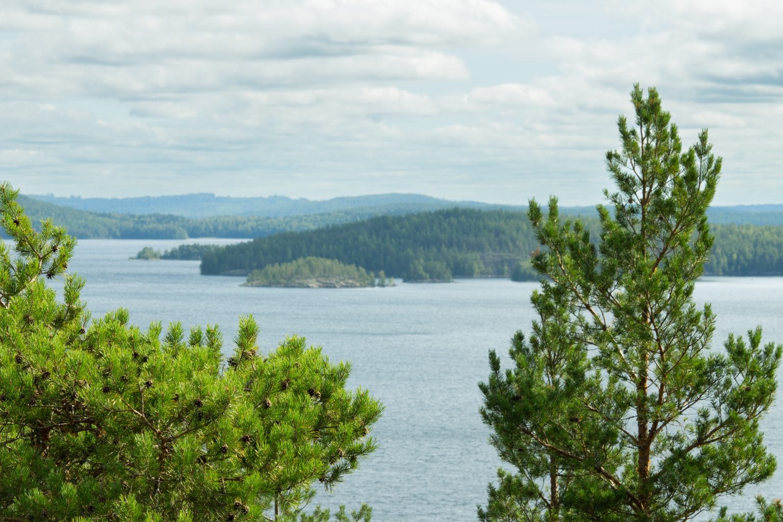 Kunta ja hallinto - Padasjoki